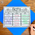 Kindergarten Bat Activities Your Students Will Love - A Spoonful of ...