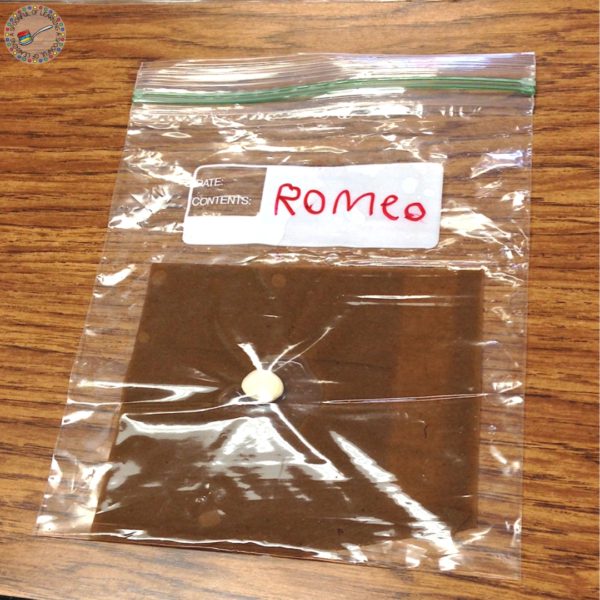 Spring Thematic Unit for Kindergarten - A Spoonful of Learning