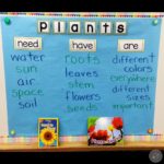 Spring Thematic Unit for Kindergarten - A Spoonful of Learning