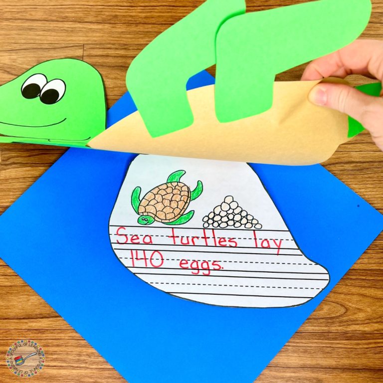 Fun Ocean Animal Activities for Kindergarten - A Spoonful of Learning